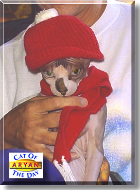 Aryan Ameer - Sphynx - November 8, 2002